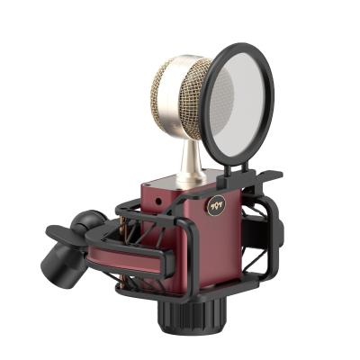 China Studio Recording and Live Streaming Made Easy with 797Audio D501 Condenser Microphone for sale