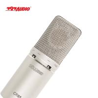 China 797Audio CR85 Condenser Microphone Prices in China Manufacture Microphone PCB for Podcast With Sponge Cover for sale