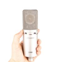 China Large Diaphragm CR85 bm800 Condenser Microphone for High Sensitivity Audio Recording for sale