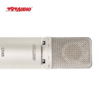 China Experience Professional Sound with 797Audio CR85 Condenser Microphone and Shock Mount for sale