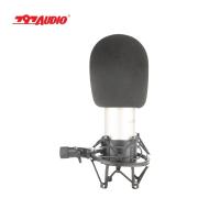 China 797Audio CR86 XLR Cardioid Condenser Microphone XLR with Large Diaphragm Professional Studio Mic for Recording Podcasting for sale