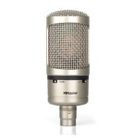 China 797Audio ACR02 Professional Recording Condenser Microphone for Professional Gaming,singing,audio and Living Program Speaker for sale