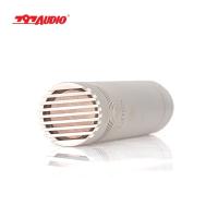 China 797Audio CR55 Small Diaphragm Condenser Microphone For Professional Recording for sale