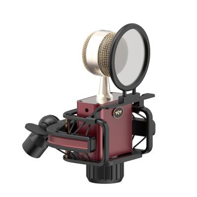 China 797Audio D501 Professional Usb-c Lapel Microphone for Laptop Gaming Singing With Shock Mount Type-C cable for sale
