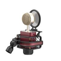 China 797Audio D501 Customized USB Microphone for Personalized Recording for sale