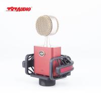 China 797Audio D501 USB Cardioid Condenser Vocal Microphone with Built-In Preamp for Studio Broadcasting Podcasting Streaming Micrfono for sale