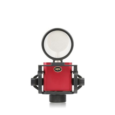 China 797Audio D501 Condenser Microphone for sale