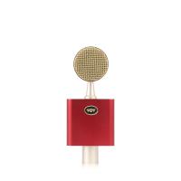 China 797Audio D501 High-End USB Cardioid Recording Condenser Microphone Noise Cancelling Light-weight Portable for sale