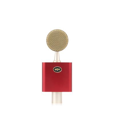 China 797Audio D501 High-End USB Cardioid Recording Condenser Microphone Noise Cancelling Light-weight Portable for sale
