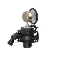 China 797Audio CR632 Professional 3-Pin XLR Studio Condenser Microphone Light-Weight Customized Recording Mic with Best Price for sale
