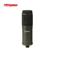 China 797Audio ATCR03 Professional Cardioid Vacuum Tube Condenser Singing Microphone Wireless Studio Recording Full Material Kids for sale