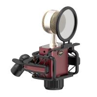 China 797AUDIO D501 Professional USB Condenser Cardioid Youtuber Microphone for PC with Shock Mount for sale