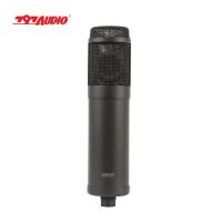 China 797AUDIO ATCR02 Professional Studio Professional Large Diaphragm Condenser Microphone Vacuum Tube Microphone for sale