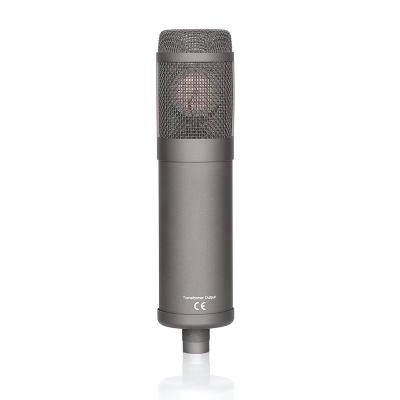 China 797AUDIO ATCR02 Condenser Microphone for Singing, Recording, Interview Professional for sale