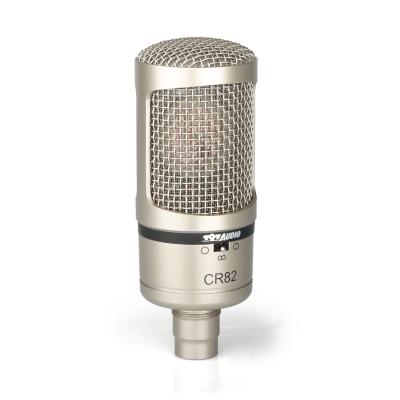 China 797AUDIO ACR02 Computer Microphone for Studio Recording Singing and Live Programs for sale