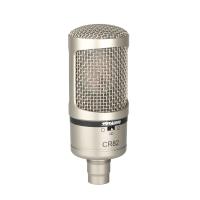 China 797Audio ACR02 Professional Studio Recording Condenser Microphone Metal Wired Microphone 48V DC Phantom Kids Gaming Speaking for sale
