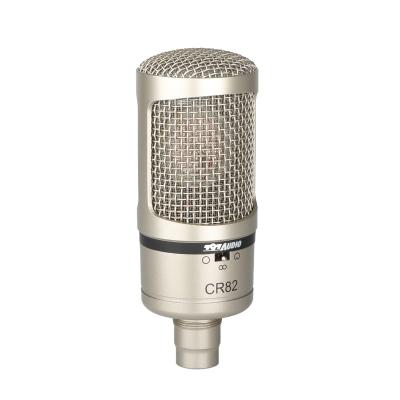 China 797Audio ACR02 Professional Studio Recording Condenser Microphone Metal Wired Microphone 48V DC Phantom Kids Gaming Speaking for sale