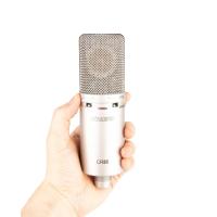 China Experience Studio Recording Like Never Before with 797Audio CR85 C1 Condenser Microphone for sale