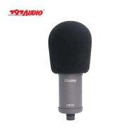 China 797AUDIO ATCR03 Professional Vacuum Tube Condenser Microphone Top Choice for Recording for sale
