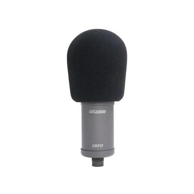 China 797Audio ATCR03 Vacuum Tube Condenser Microphone for Interview Recording and Karaoke for sale