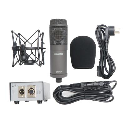 China 797Audio ATCR03 Vacuum Tube Condenser Microphone professional studio microphone Cardioid with Shock Mount,power supply for sale