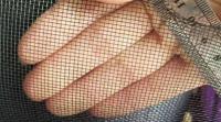 China Low C Steel Epoxy Coated Wire Mesh Cost Custom 400m Length for Air Filter for sale