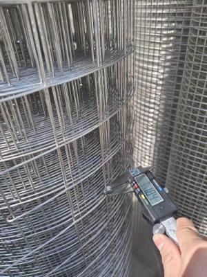 China Insect Proof Door Stainless Steel Insect Mesh 304 SS Width Customization Ss Wire Mesh for sale