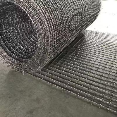 China Durable Door 304 Stainless Steel Mesh Roll Ss304 Wire Mesh 24x110mesh for sale