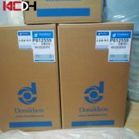 China P812559 8421230000  Air Filter For Excavator for sale