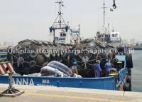 China Yokohama Type Inflatable Marine Rubber Fender Anti - Collision For Ship Berthing for sale