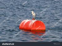 China Foam Filled Marine Floating And Steel Mooring Buoy With Chain Through for sale