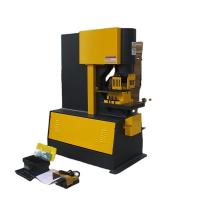China Q35y-25 Series Hydraulic Ironwork Angle Metal Cutting and Punching Shearing Machine for sale