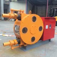 China Max. 100M Horizontal Conveying Distance Self-suction Hose Peristaltic Pump for Filling for sale