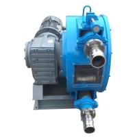 China Electric Mini Dc 12v 100w Petrol Oil Fluid Extractor Pump For Transfer Engine Vacuum With Hoses for sale