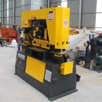 China Q35Y Series 250T Hydraulic Shearing and Punching Machine for Heavy Duty Applications for sale