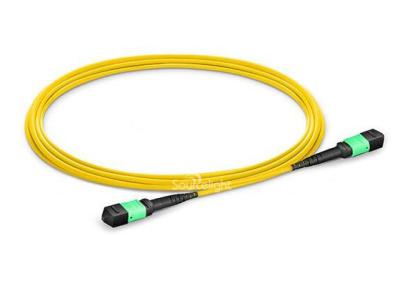China Lan Wan Mpo Mtp Fiber Breakout Cable Single Mode 9 / 125 12 Cores 24 Cores for sale