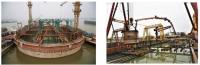China SV-PUW Series Non Dispersible Underwater Concrete Additive Soil Hardener - EU Certified Gray Powder for sale