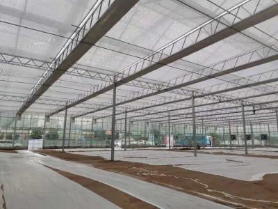 China JUSTSOLID SV-LSX Series Liquid Soil Stabilizer - Non-Toxic, Weak Alkalinity, EU Certified for sale