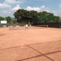 China JUSTSOLID SV-L Series Liquid Soil Stabilizer for Basketball Fields & Road Construction for sale