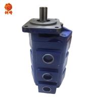 China 1121302385 Double & Triple Hydraulic Pump, Construction Machinery Spare Parts for GR215 Motor Grader and Loader for sale