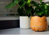 China 400ml Home office imitation wood grain aromatherapy humidifier sleeve housing office home humidifier for sale