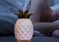 China 120ml Custom Ceramic White Pineapple Oil Diffuser Aromatherapy Mist Humidifier for sale