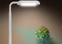 China 12W 5V 0.47KG Rechargeable Night Lamp Child Learning Cordless Eye Strain Reducing for sale