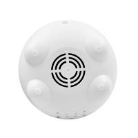 China Dual Atomize 300ml Home Aroma Diffuser Cute Panda Cool Mist Essential Oil 30ml/H for sale