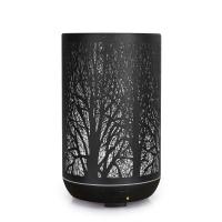 China 300ml 415g Home Aroma Diffuser Hollow Iron Ultrasonic Cool Mist Essential Oil for sale