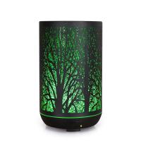 China 300ml 415g Home Aroma Diffuser Hollow Iron Ultrasonic Cool Mist Essential Oil for sale