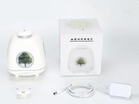 China 0.55Kg 35ml/h Ultrasonic Essential Oil Diffuser Aroma Timer 230ML for sale