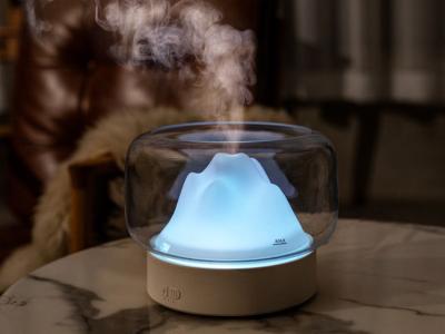 China 35dB 40ml/h Oil Aromatherapy Diffuser Creative Ultrasonic 240g for sale