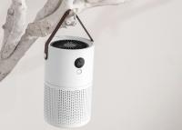 China Anion Air Purifier Portable Mini , 10000mAh 1.25kg Car Air Purifier Usb for sale