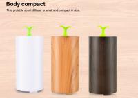 China 36dB Waterless Car Aroma Diffuser Spa Pure Usb Essential Oil 210g for sale